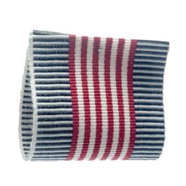 Ruby Slippers Striped Cotton Grosgrain 50mm | V V Rouleaux